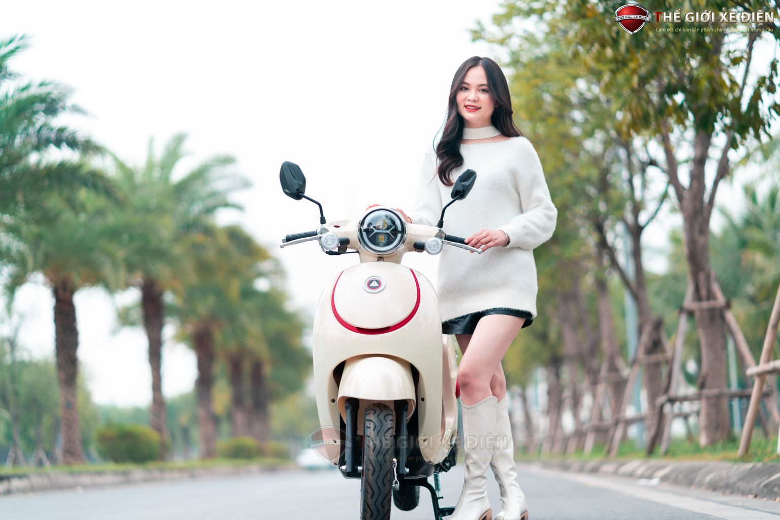 Xe Ga 50cc Golden Ally Thương Hiệu Nhật | Thế Giới Xe Điện