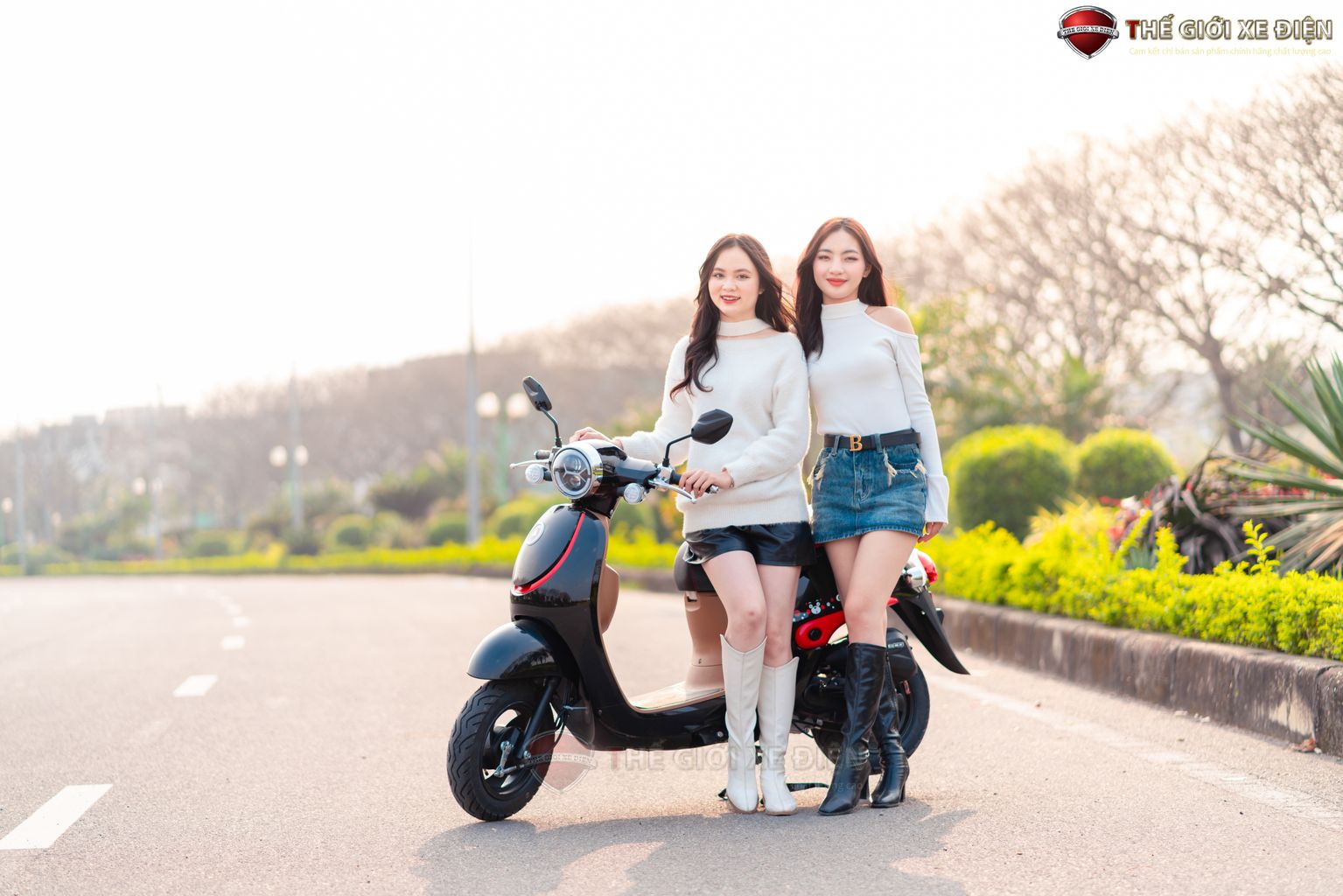 Xe Ga 50cc Golden Ally Thương Hiệu Nhật | Thế Giới Xe Điện