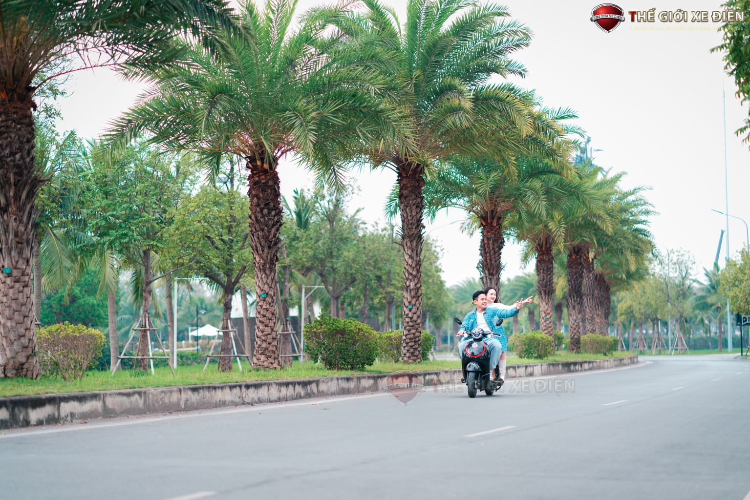 Xe Ga 50cc Golden Ally Thương Hiệu Nhật | Thế Giới Xe Điện