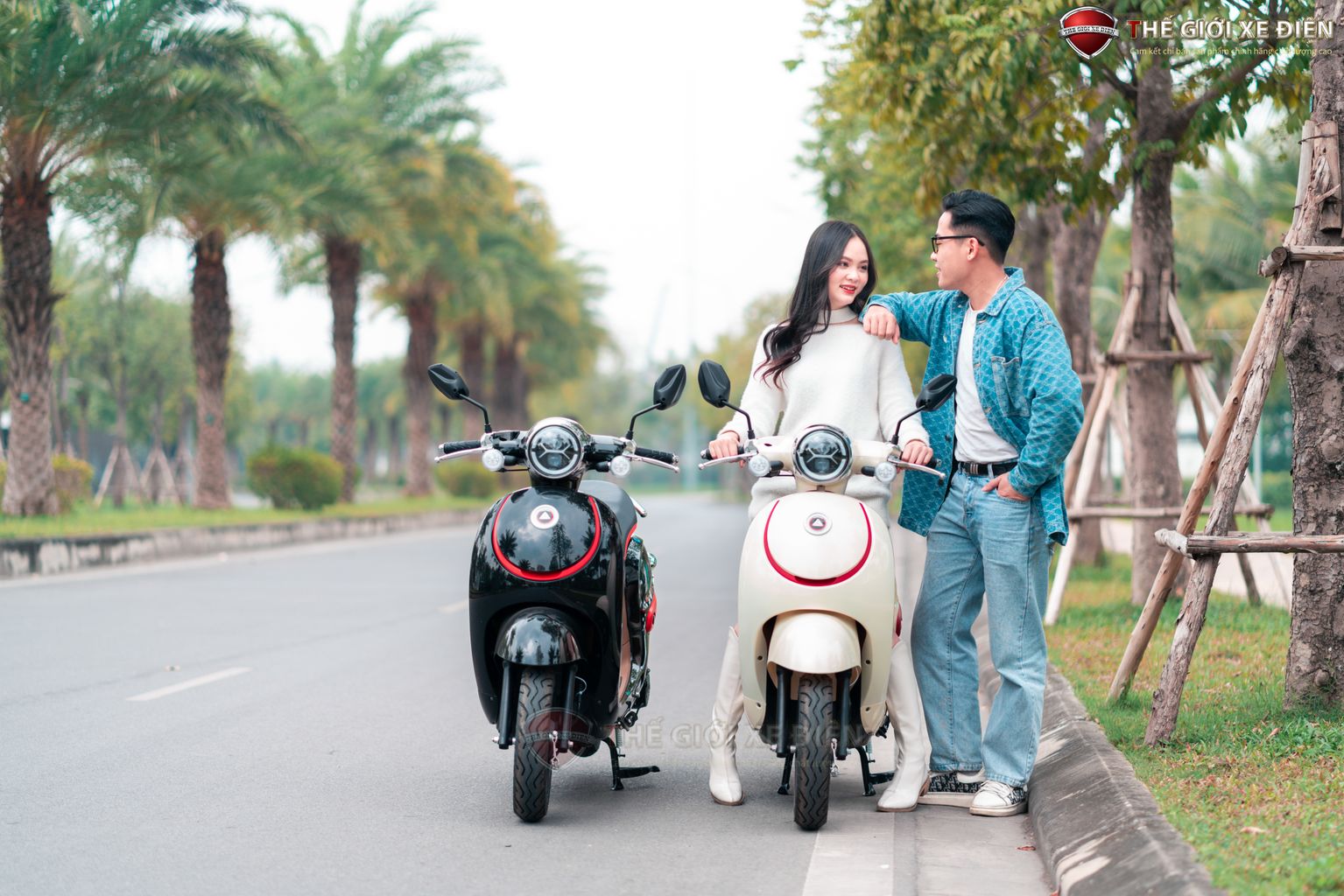 Xe Ga 50cc Golden Ally Thương Hiệu Nhật | Thế Giới Xe Điện