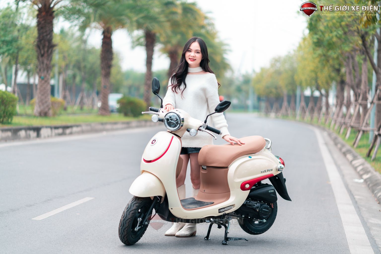 Xe Ga 50cc Golden Ally Thương Hiệu Nhật | Thế Giới Xe Điện